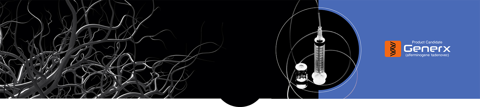 Medical Revascularization: DNA-Based Angiogenic Therapy | Gene ...